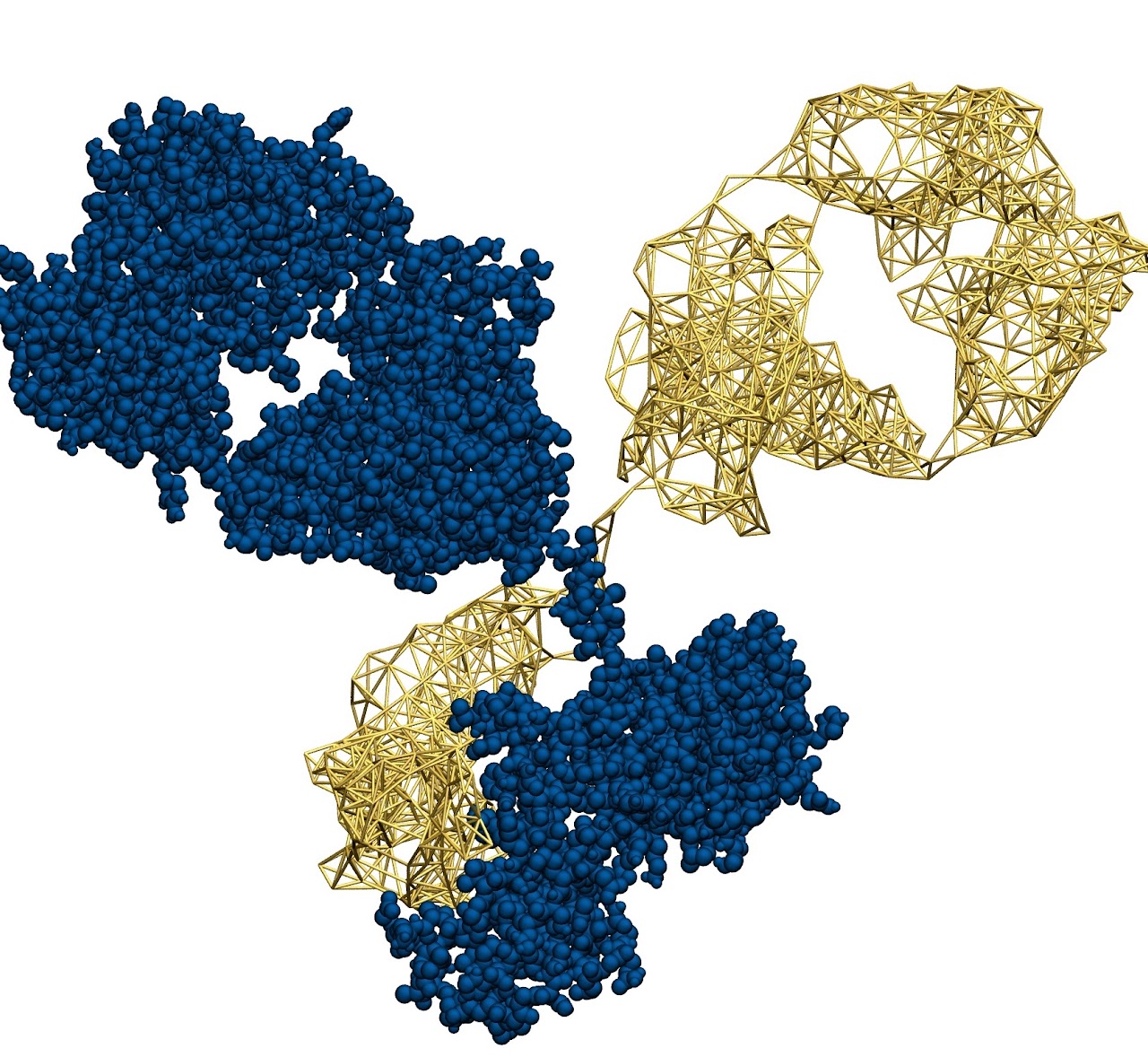 Research – Statistical and Biological Physics group
