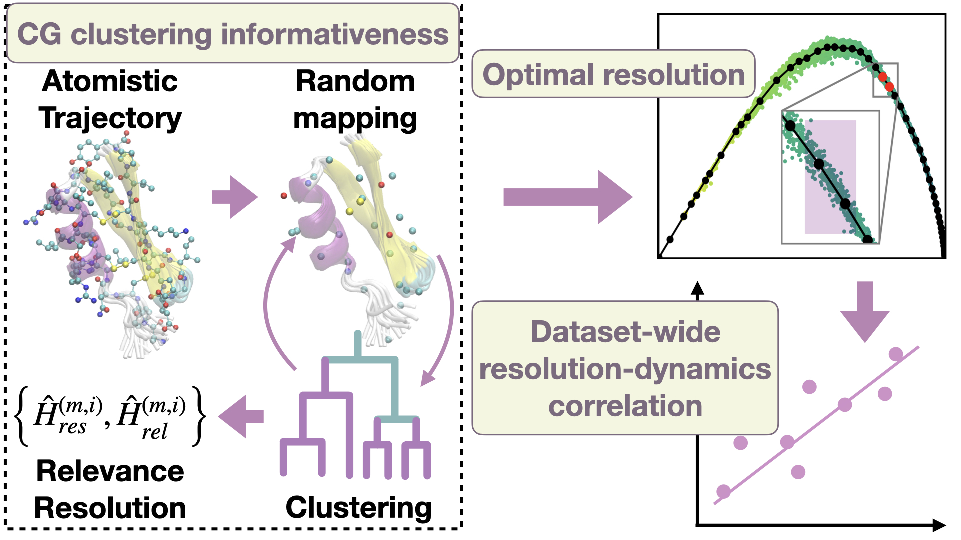 Preprint: Determining the optimal structural resolution of proteins ...